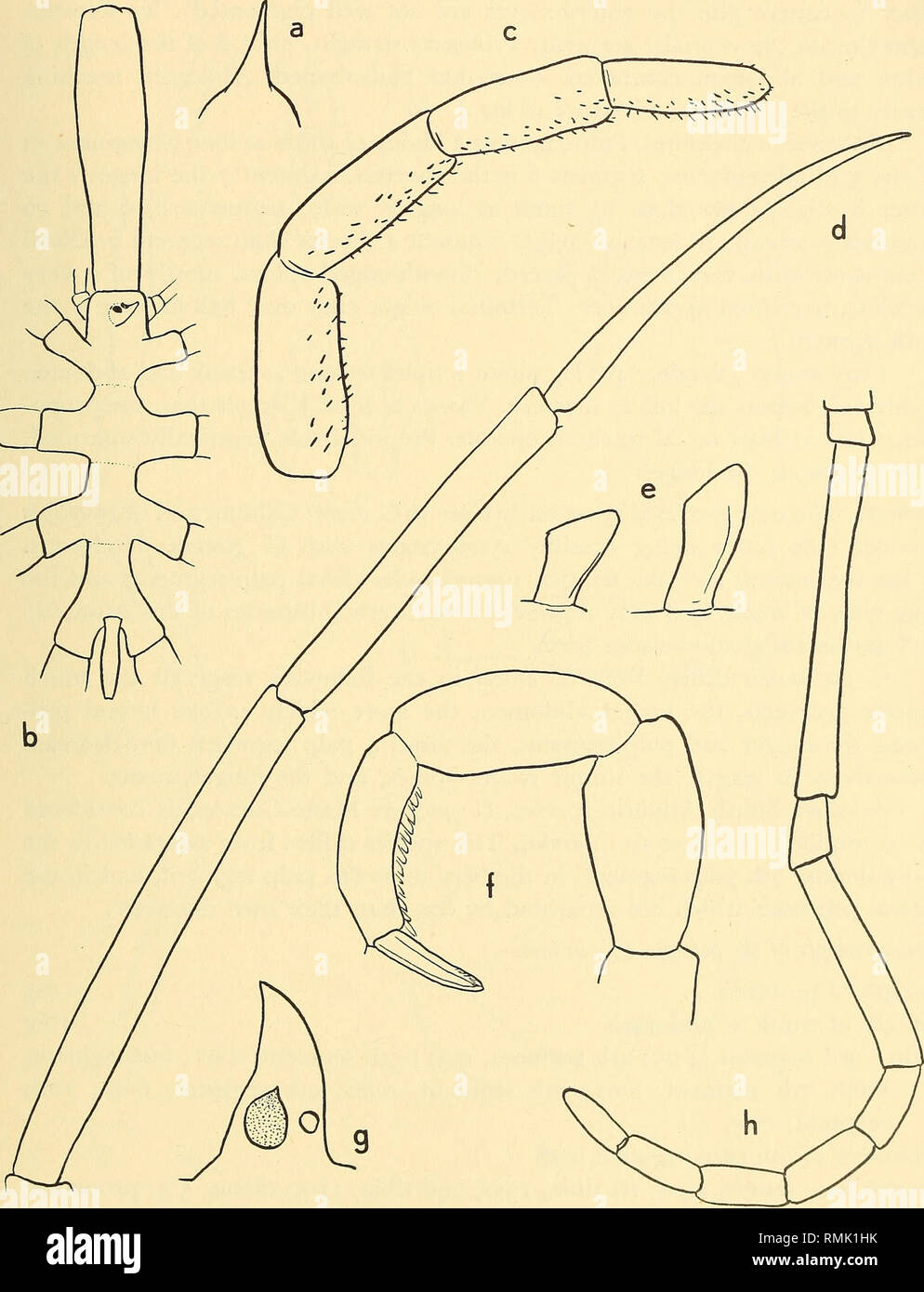 . Annals of the South African Museum = Annale van die Suid-Afrikaanse ...