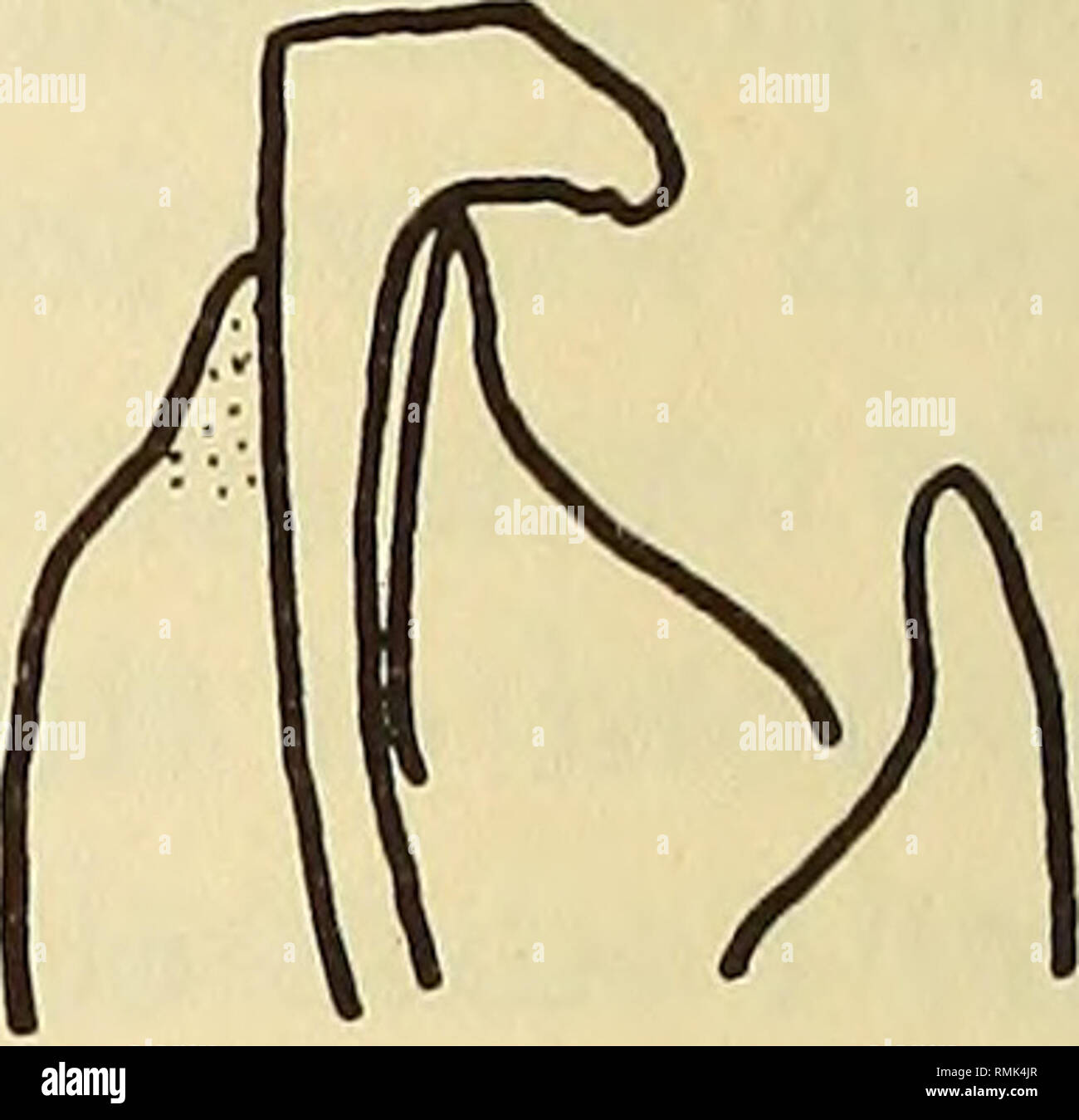 . Annals of the South African Museum = Annale van die Suid-Afrikaanse ...