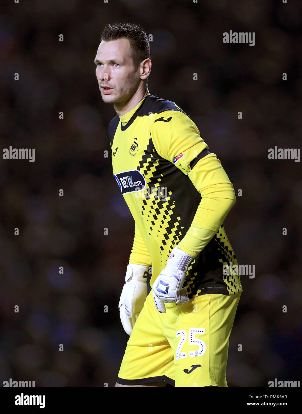 Swansea City goalkeeper Erwin Mulder Stock Photo - Alamy