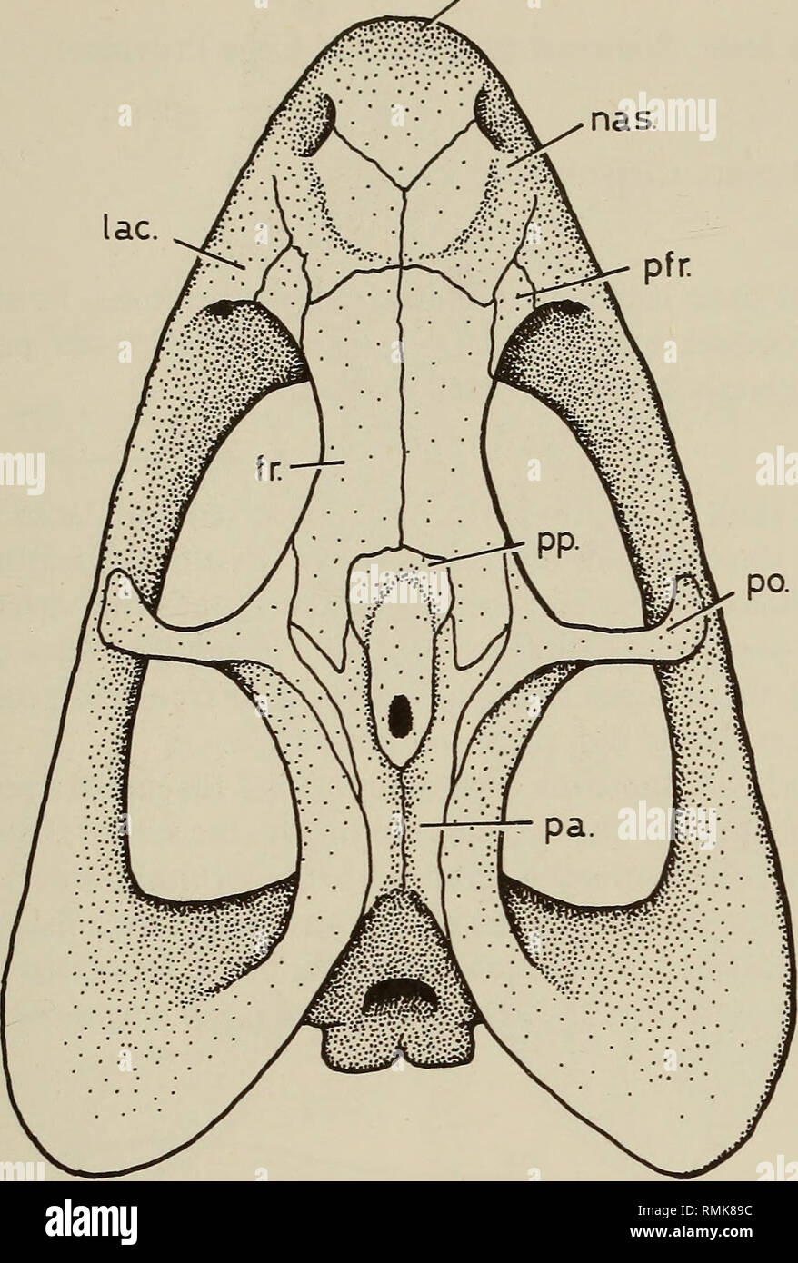 . Annals of the South African Museum = Annale van die Suid-Afrikaanse ...