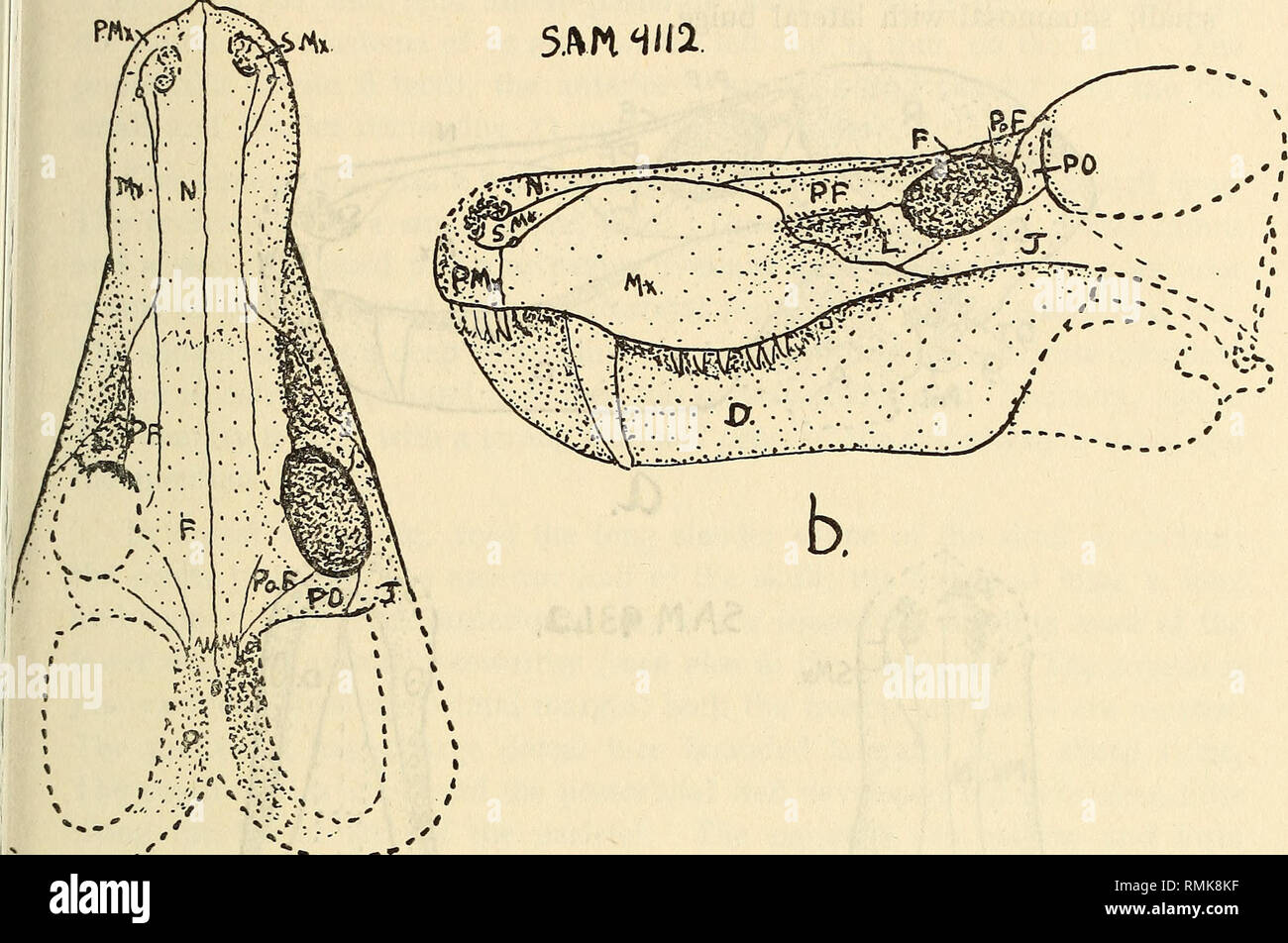 . Annals of the South African Museum = Annale van die Suid-Afrikaanse ...