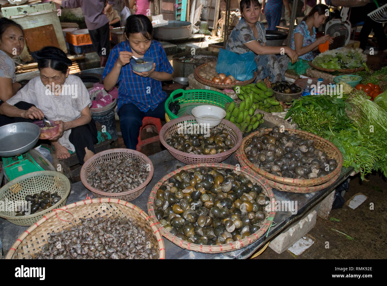 Women selling snails, in market, Hanoi, Vietnam Stock Photo - Alamy