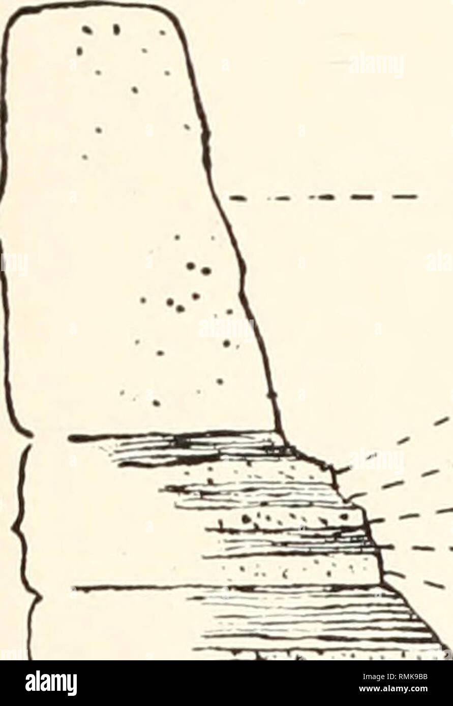 Modderpoort High Resolution Stock Photography and Images - Alamy