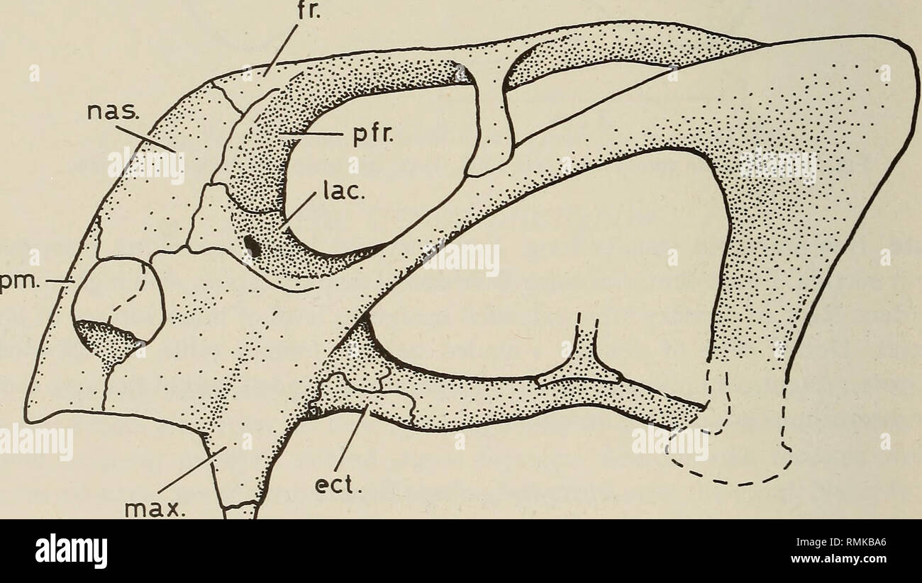 . Annals of the South African Museum = Annale van die Suid-Afrikaanse ...