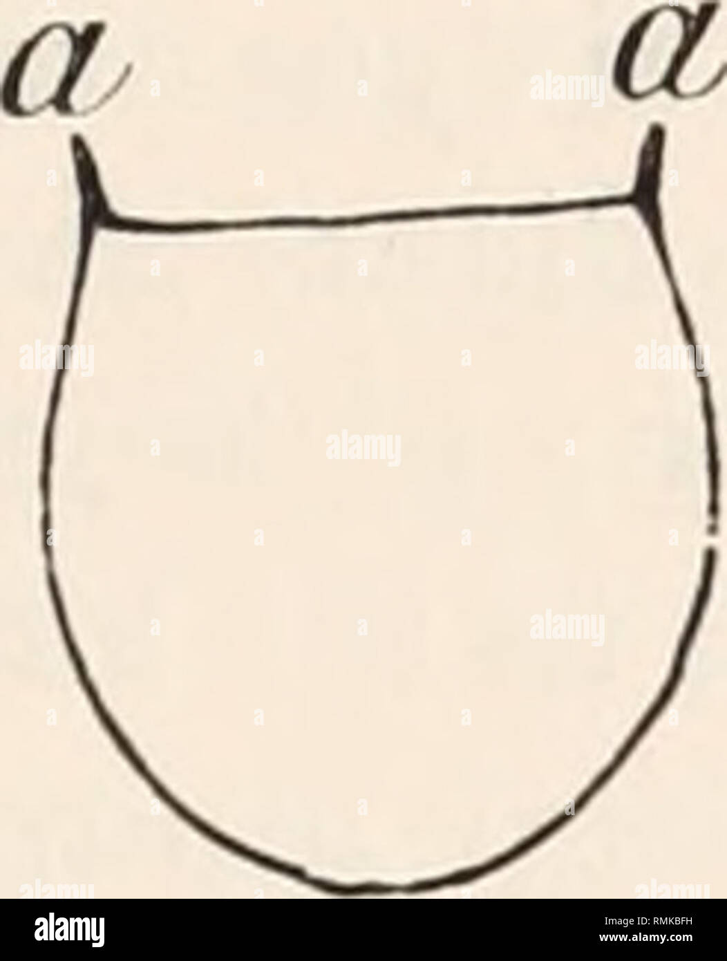 Longitudinal measuring hi-res stock photography and images - Alamy