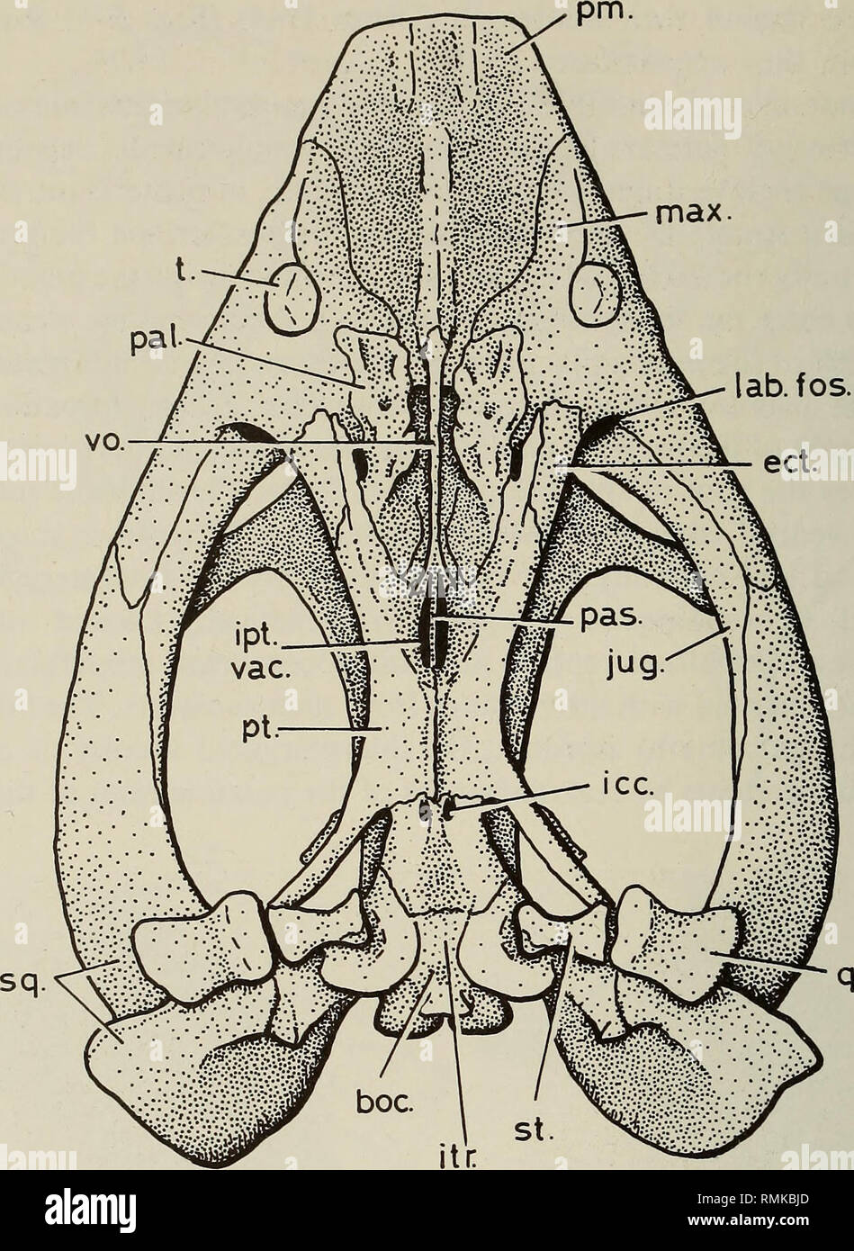 . Annals of the South African Museum = Annale van die Suid-Afrikaanse ...