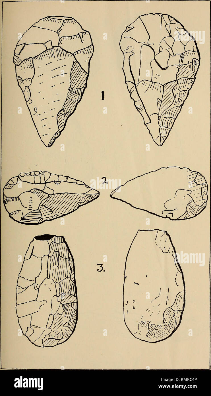 . Annals of the South African Museum = Annale van die Suid-Afrikaanse ...