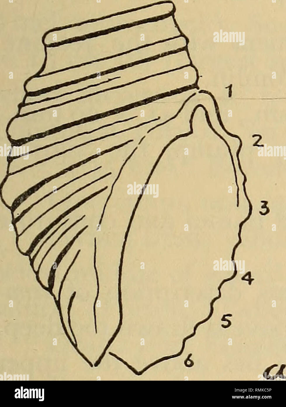 12 mai 1917 hi-res stock photography and images - Alamy