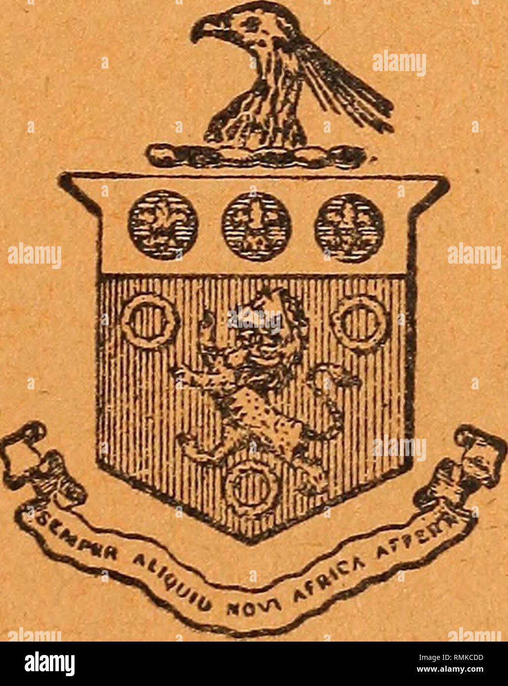 Cladoceran hi-res stock photography and images - Alamy