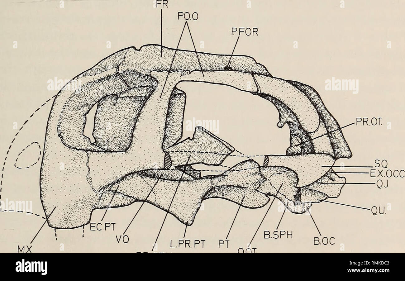 . Annals of the South African Museum = Annale van die Suid-Afrikaanse ...