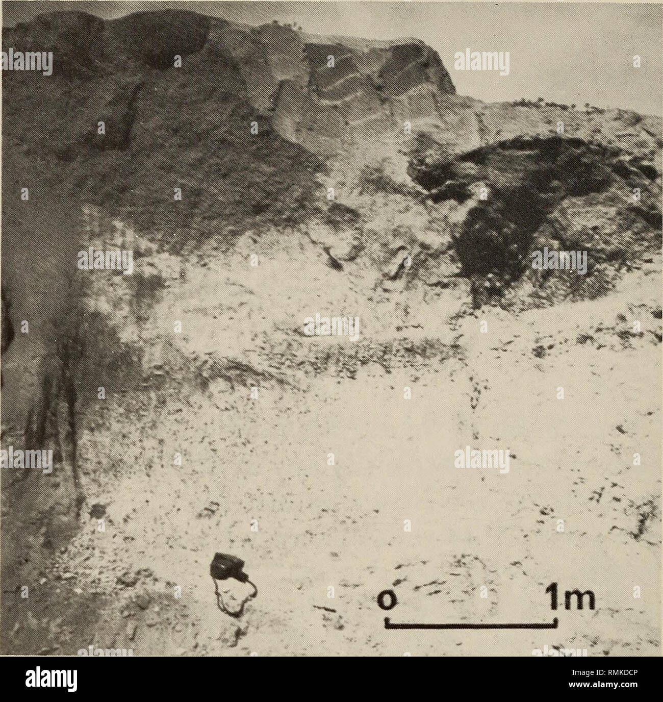 . Annals of the South African Museum = Annale van die Suid-Afrikaanse ...