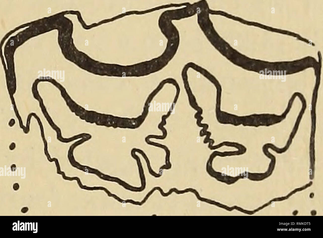 Wonderwerk hi-res stock photography and images - Alamy