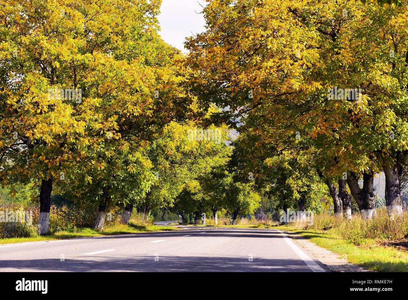 Beautiful fall background hi-res stock photography and images - Alamy