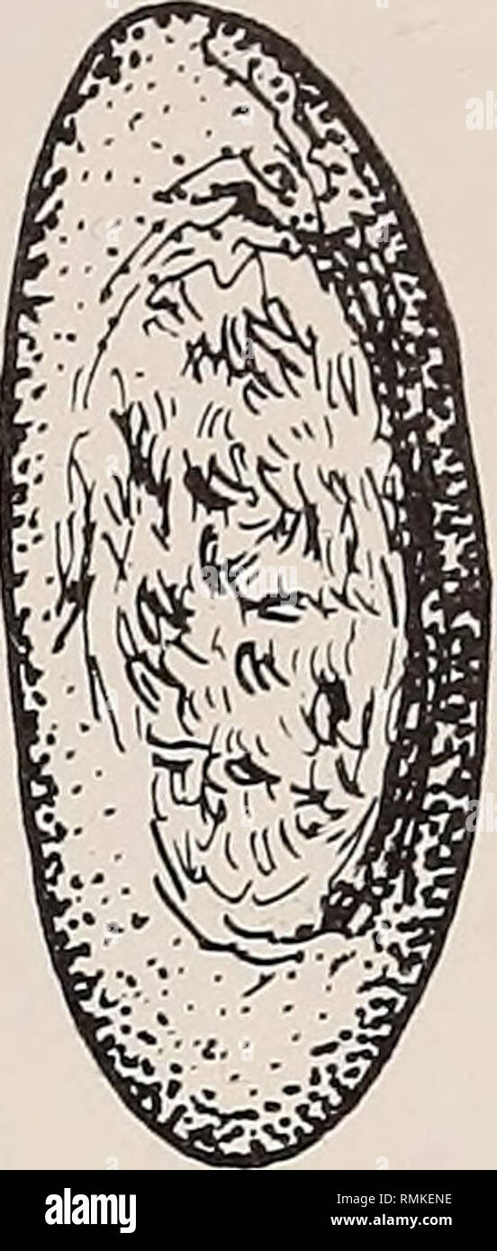 South african crystals hi-res stock photography and images - Alamy