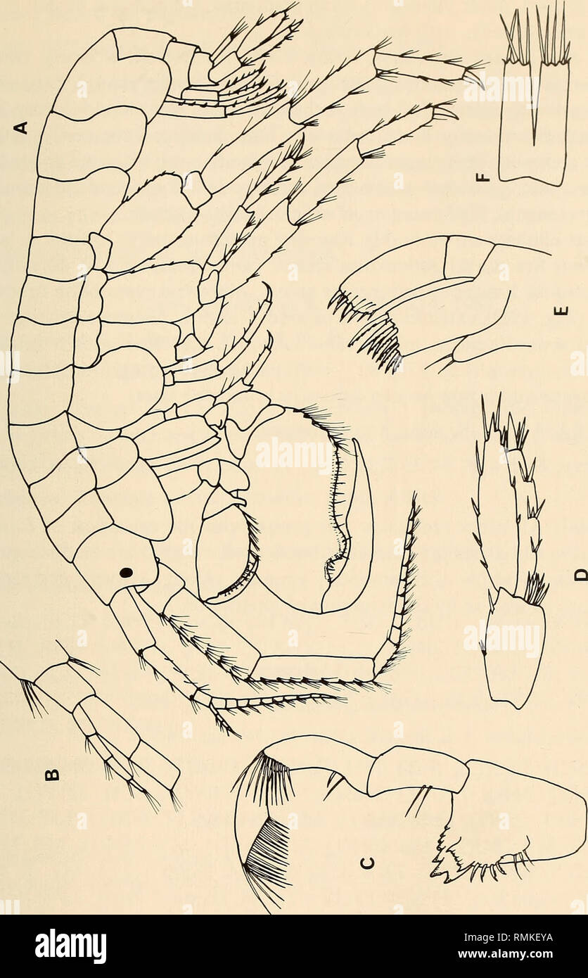 . Annals of the South African Museum = Annale van die Suid-Afrikaanse ...