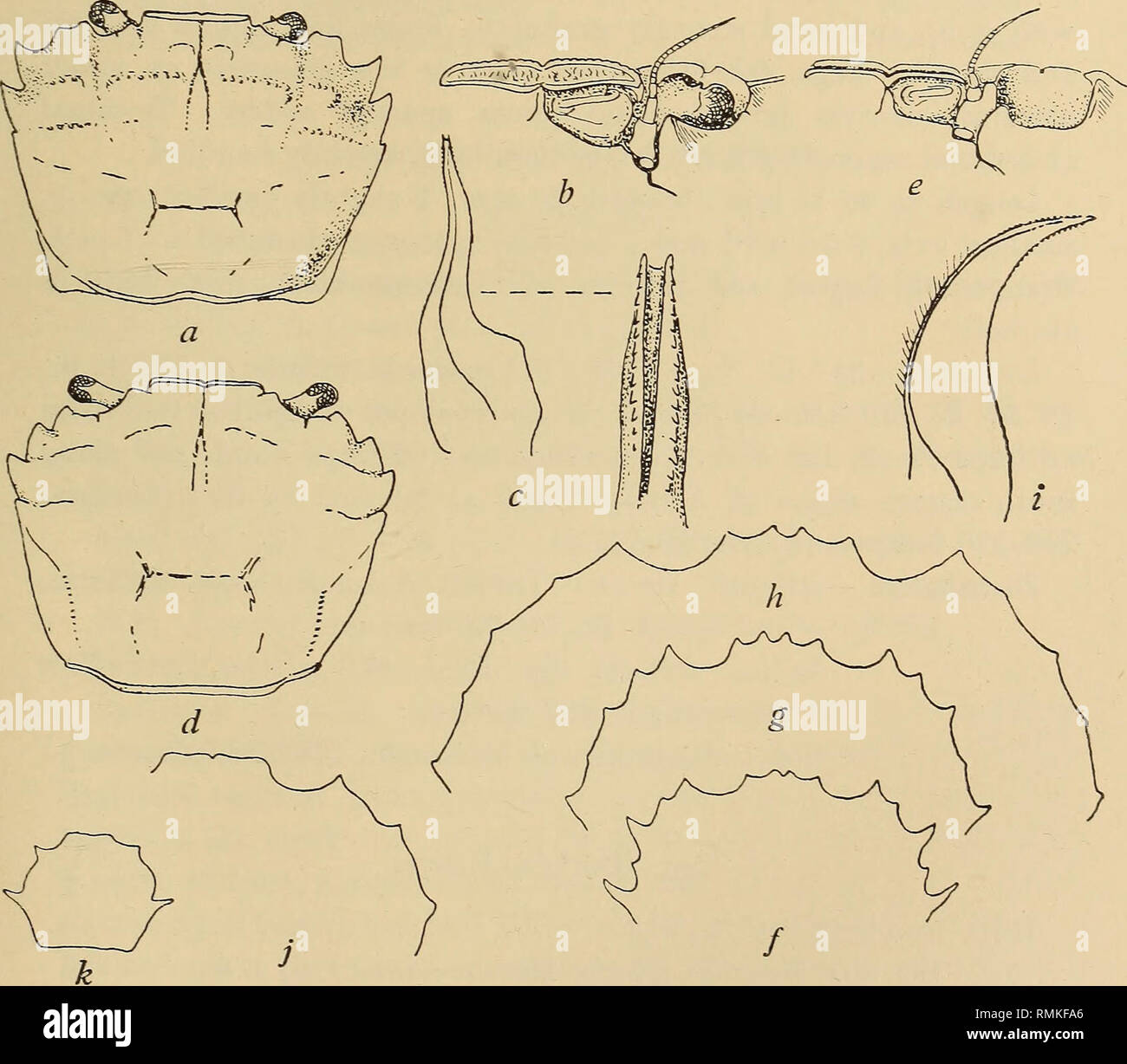 . Annals of the South African Museum = Annale van die Suid-Afrikaanse ...