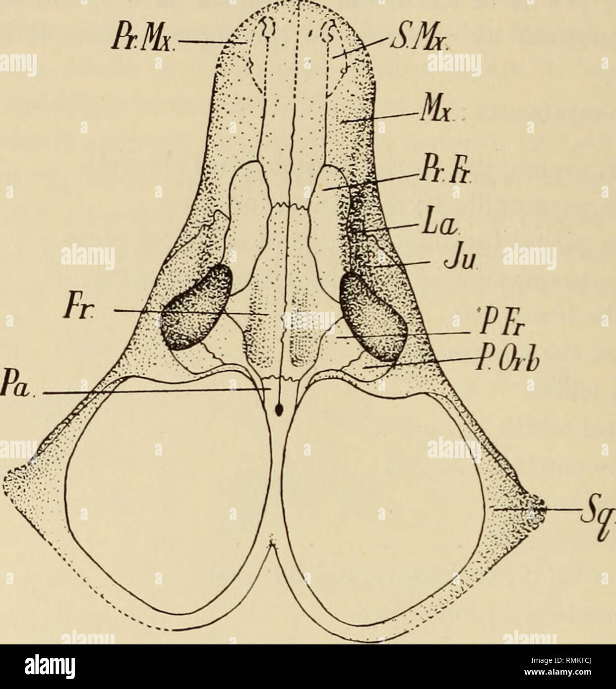 Separated palate hi-res stock photography and images - Alamy