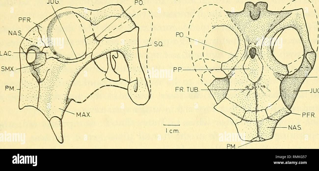. Annals of the South African Museum = Annale van die Suid-Afrikaanse ...