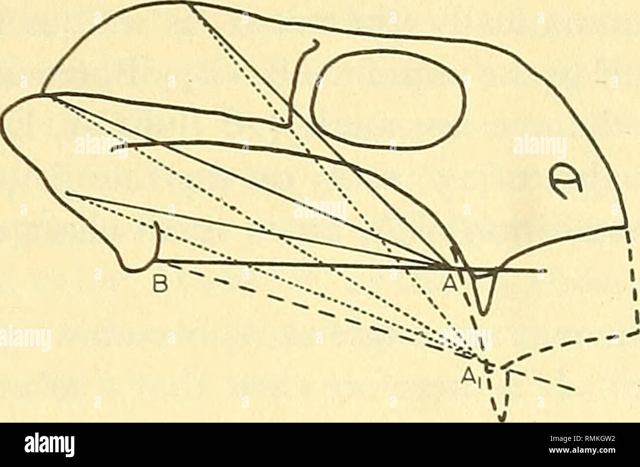 . Annals of the South African Museum = Annale van die Suid-Afrikaanse ...