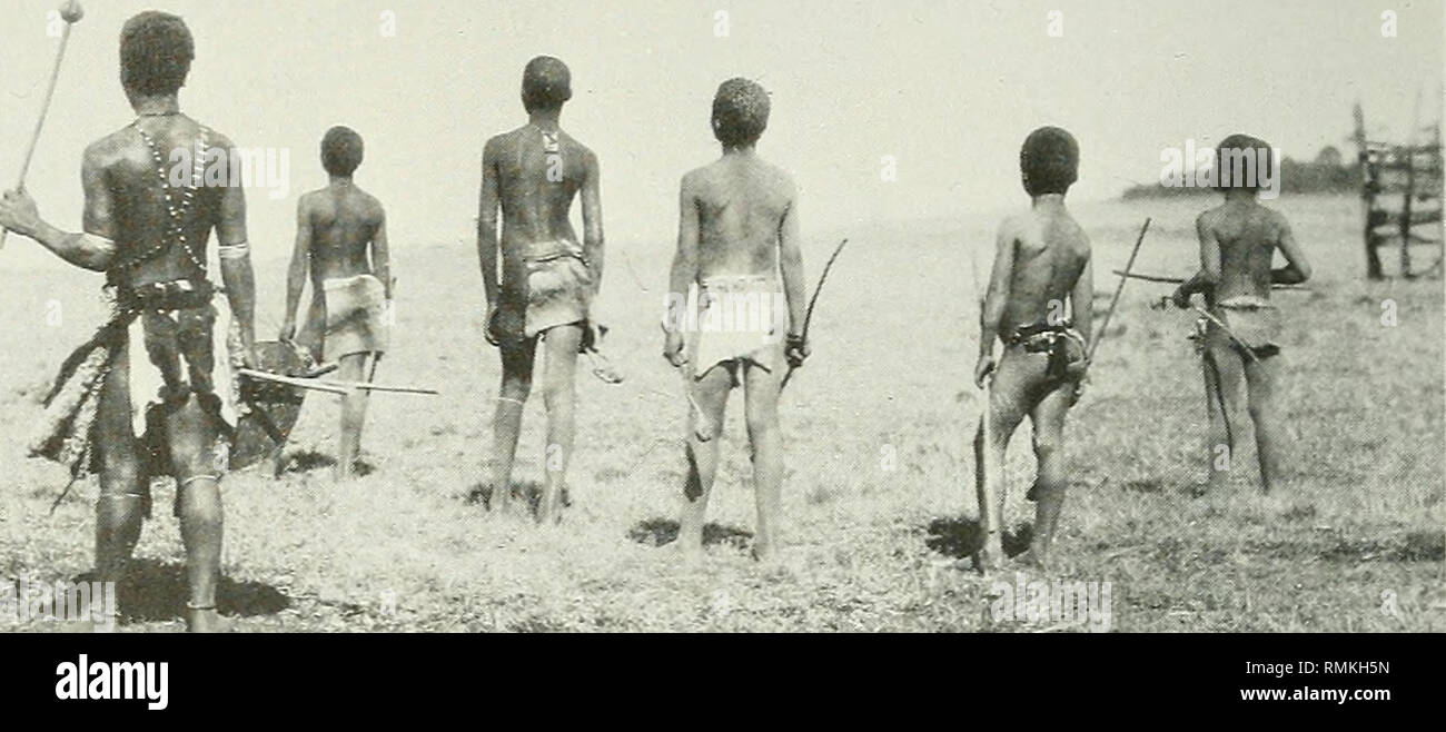 Dingane zulu hi-res stock photography and images - Alamy