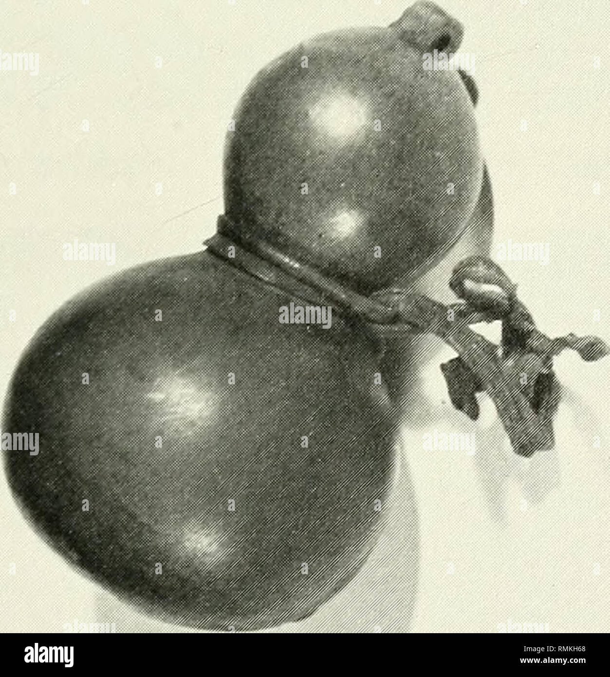 . Annals of the South African Museum = Annale van die Suid-Afrikaanse ...