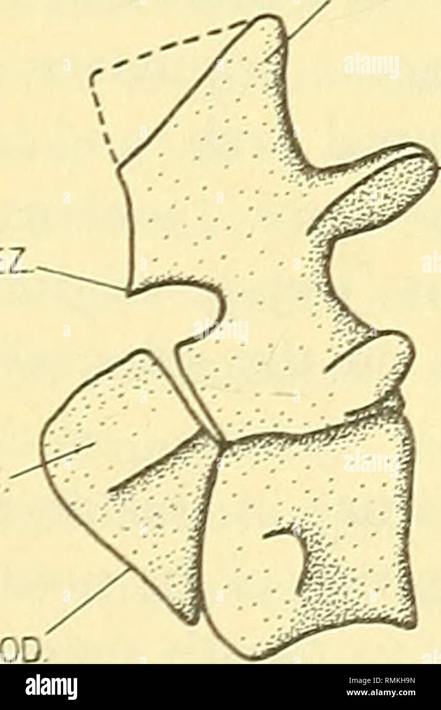 . Annals of the South African Museum = Annale van die Suid-Afrikaanse ...