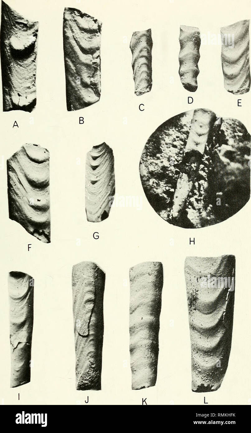 . Annals of the South African Museum = Annale van die Suid-Afrikaanse ...