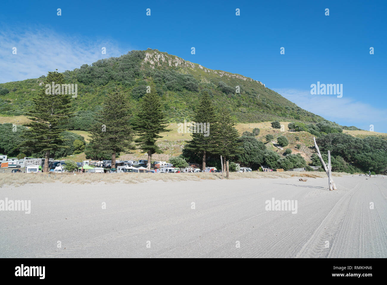 MOUNT MAUNGANUI NEW ZEALAND - FEBRUARY 8 2019: Sand grooming patterns ...