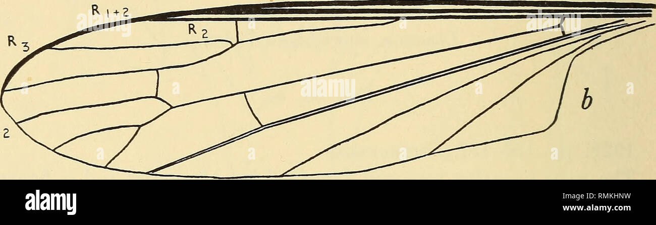 Antocha hi-res stock photography and images - Alamy