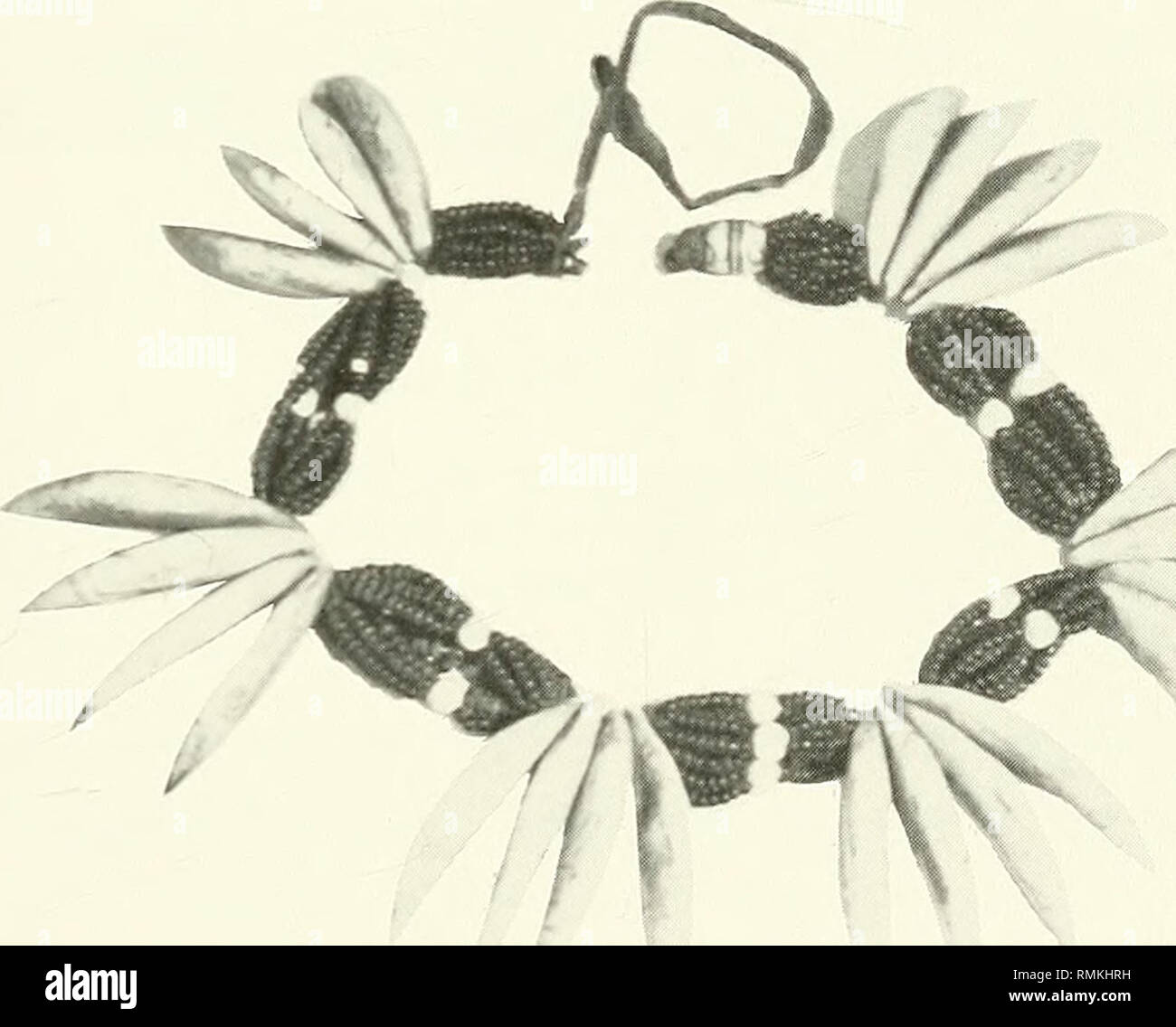 Thembu hi-res stock photography and images - Alamy