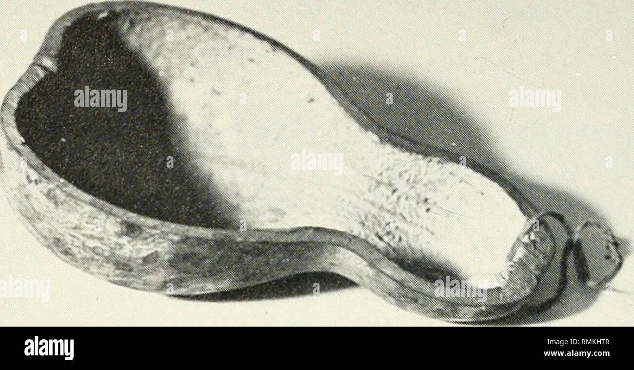 Hlubi hi-res stock photography and images - Alamy