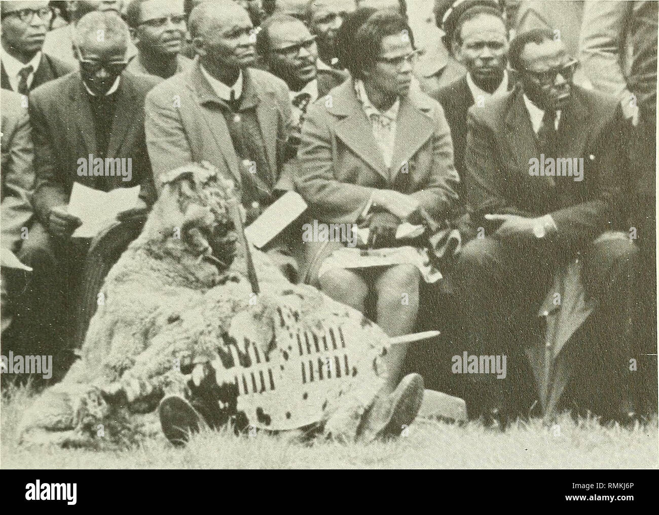 Nguni chief hi-res stock photography and images - Alamy