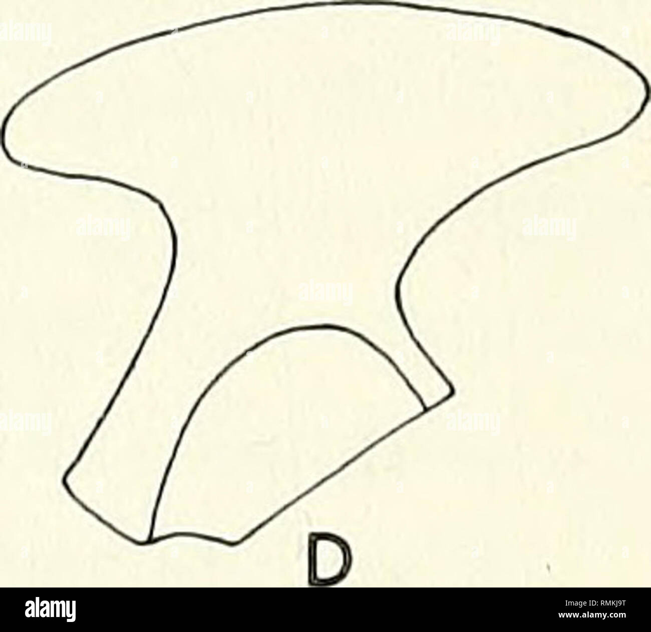 . Annals of the South African Museum = Annale van die Suid-Afrikaanse ...