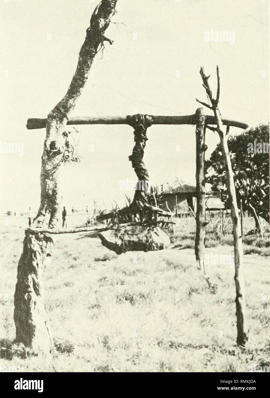 . Annals of the South African Museum = Annale van die Suid-Afrikaanse ...