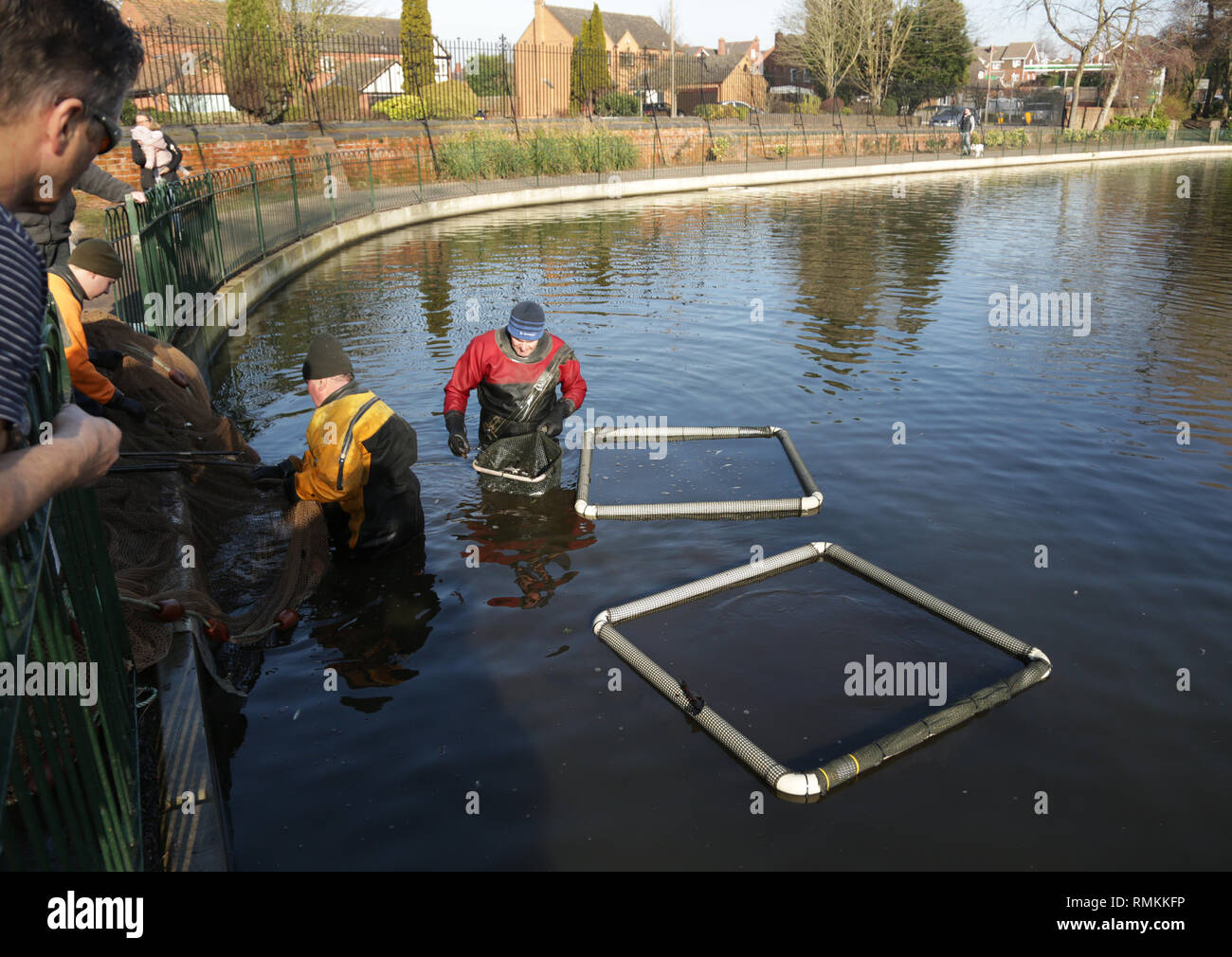 Fish health checks in a lake hi-res stock photography and images - Alamy