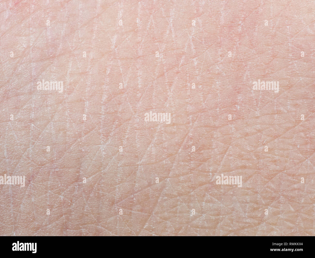 Macro Photography of Human Skin Texture for Background Stock Photo - Alamy