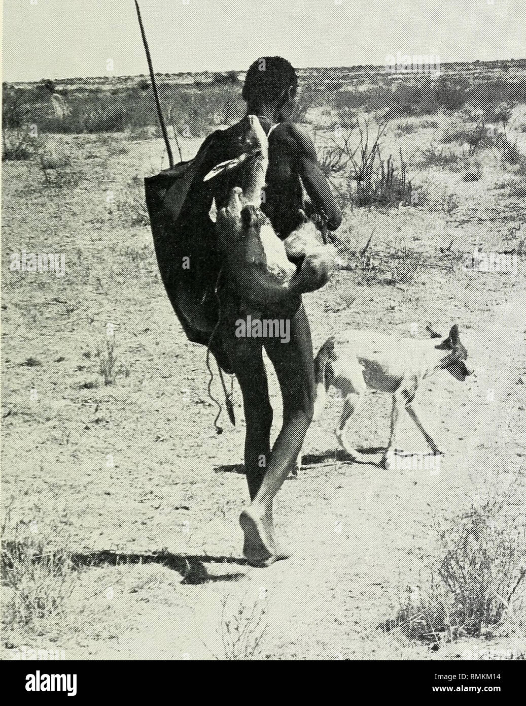 . Annals of the South African Museum = Annale van die Suid-Afrikaanse ...