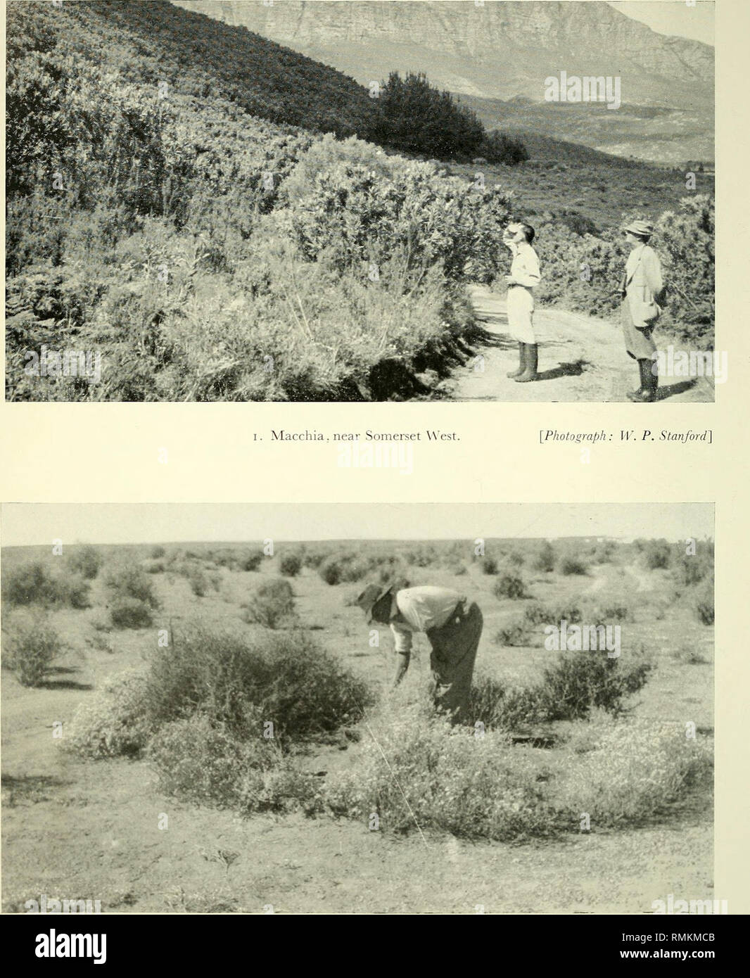 Brandvlei hi-res stock photography and images - Alamy