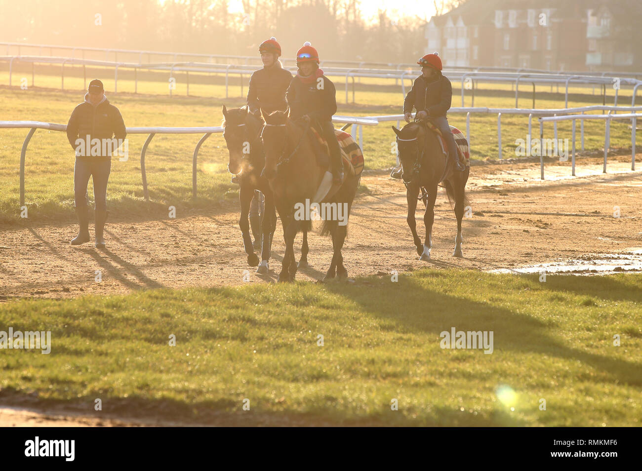 Newmarket exercise gallops gallop hi-res stock photography and images ...