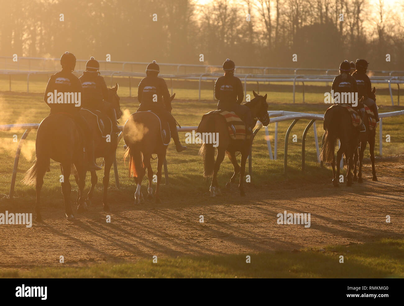 Warren Hill Newmarket High Resolution Stock Photography and Images - Alamy