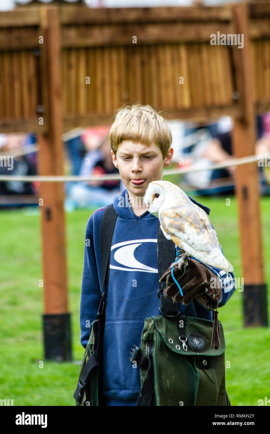 Boy holding a bird of prey Stock Photo - Alamy