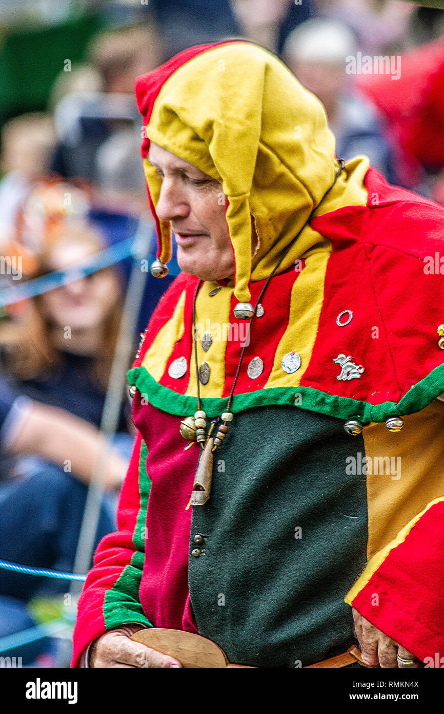 Medieval court jester hi-res stock photography and images - Alamy