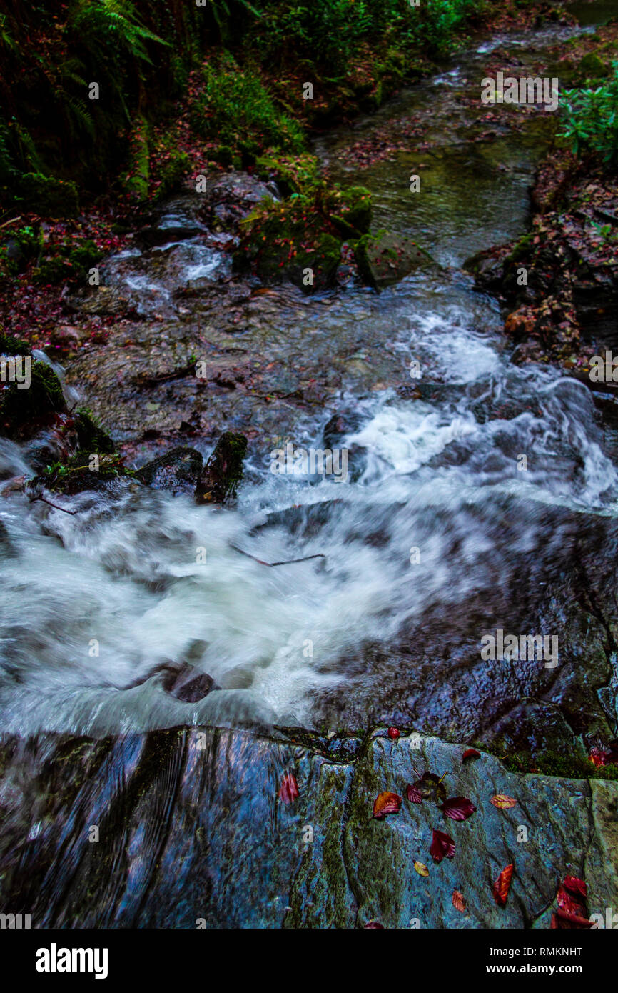 Our swift running river hi-res stock photography and images - Alamy