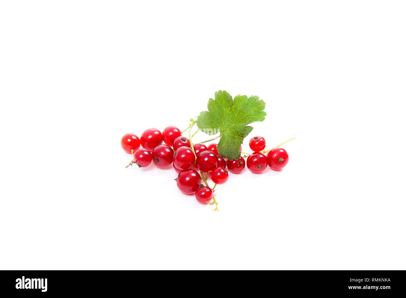 Close up view of red currant berry isolated on white background. A ...