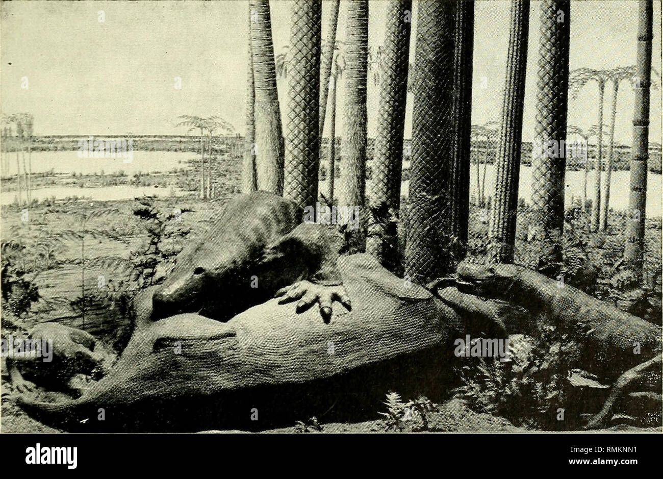 . Annals of the South African Museum = Annale van die Suid-Afrikaanse ...