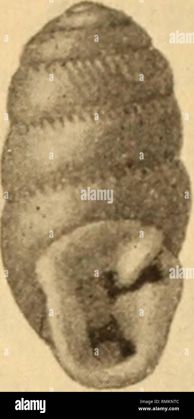 . Annals of the South African Museum = Annale van die Suid-Afrikaanse ...