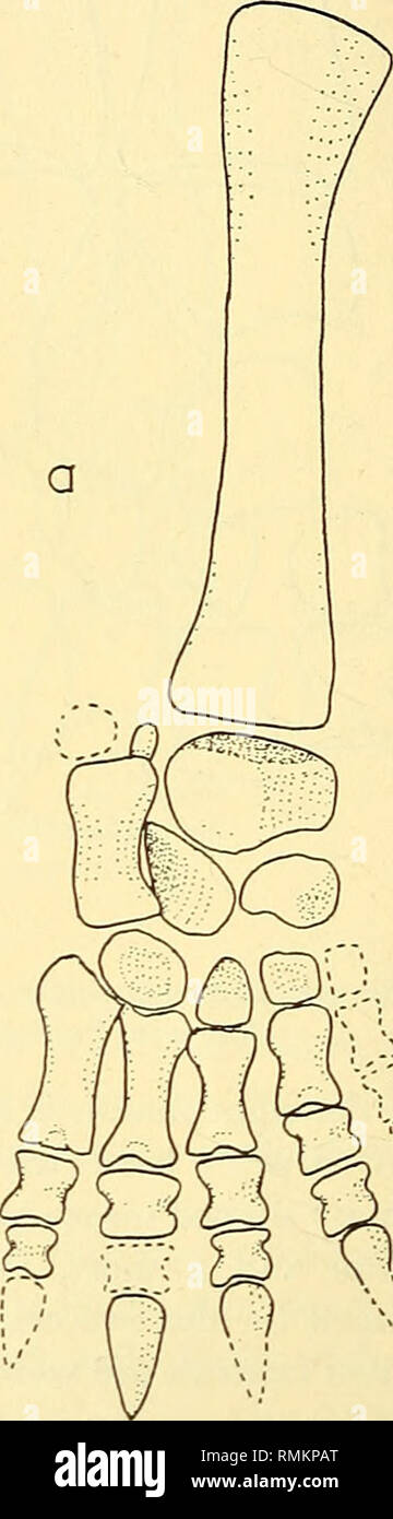 . Annals of the South African Museum = Annale van die Suid-Afrikaanse ...