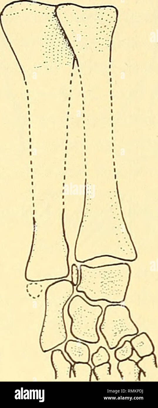 . Annals of the South African Museum = Annale van die Suid-Afrikaanse ...