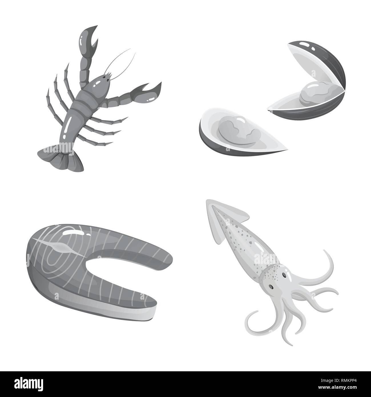 lobster,mussel,salmon,octopus,crayfish,jelly,fish,squid,underwater ...