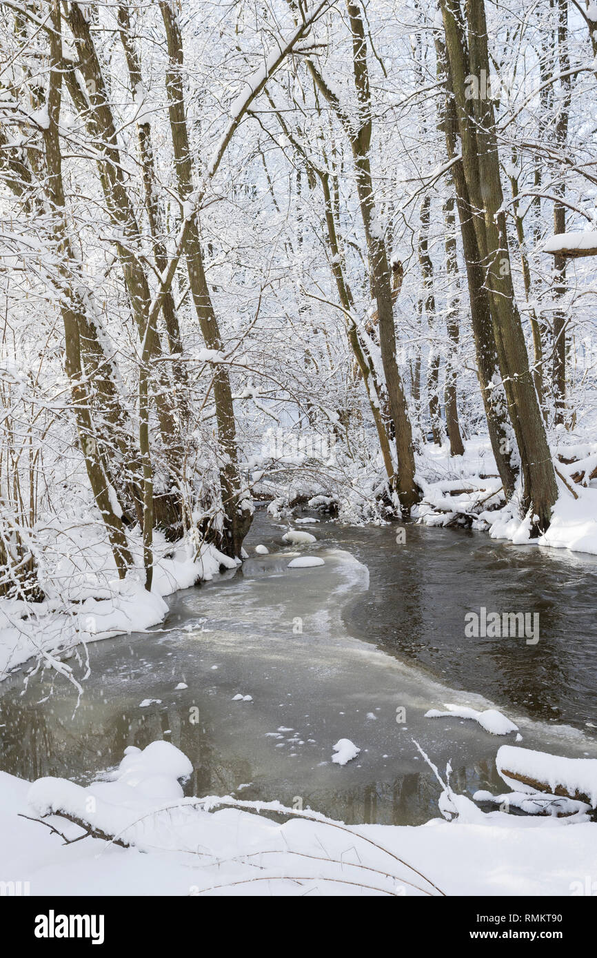 Bach im Winter, Schnee, Winterlandschaft, verschneite Äste ...
